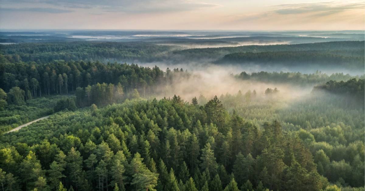 Notre démarche RSE | IP Systèmes